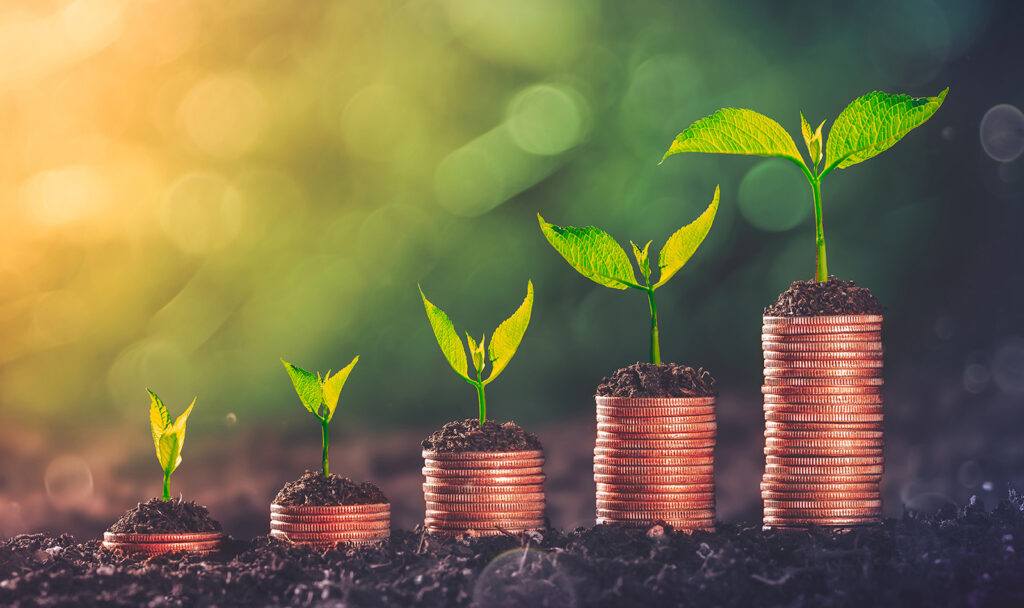 E&O Coverage as Your Business Grows | Pearl Insurance